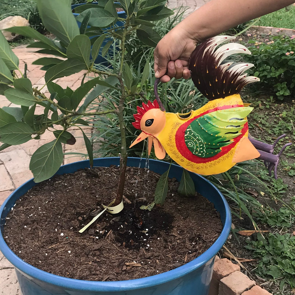 Ricky The Rooster Plant Pals Water Can - Feelin’ Memphis LLC